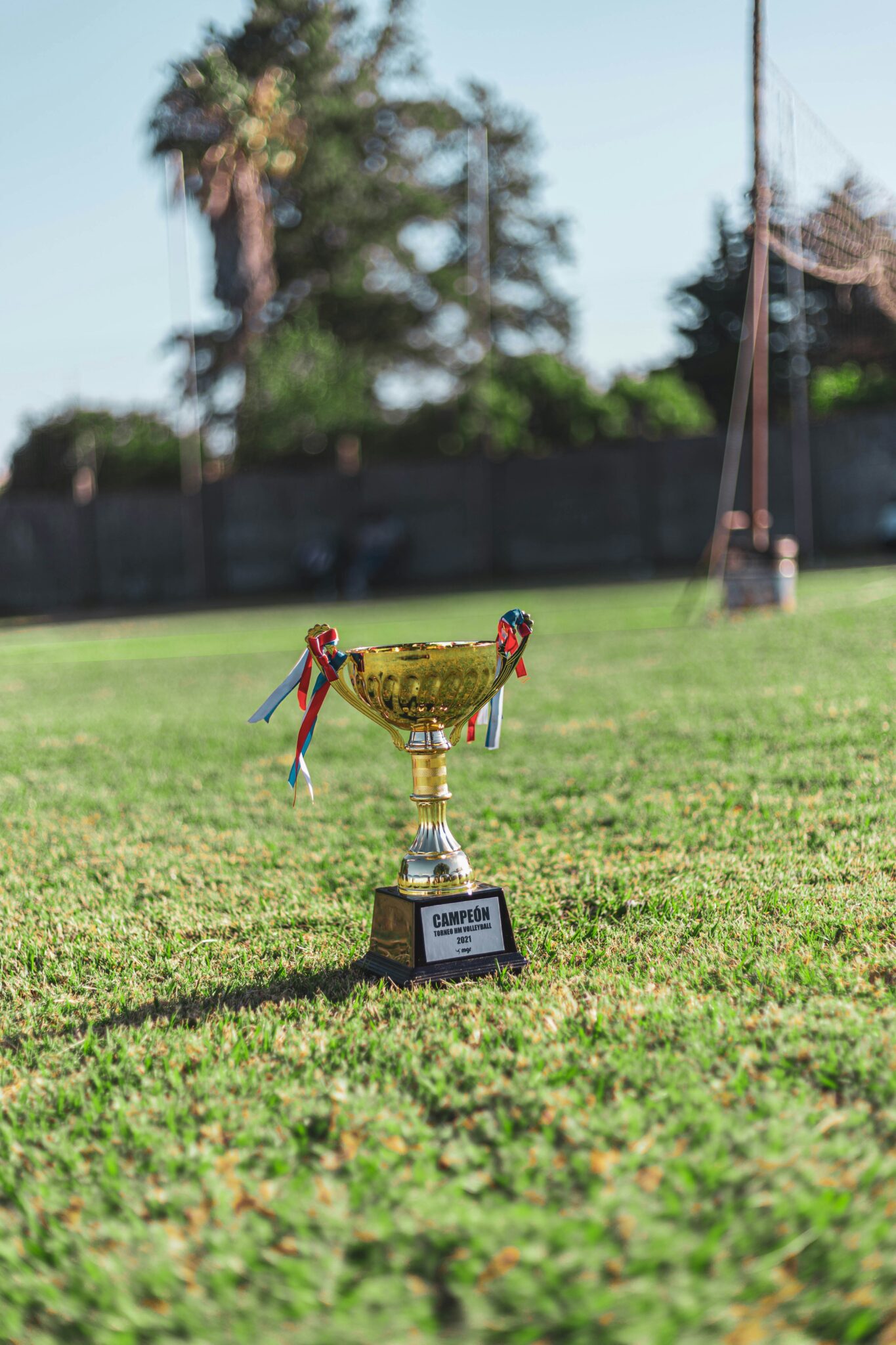 The MVP Soccer Award: Elevating Players to Legendary Status